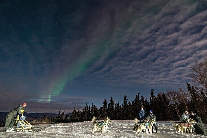 Dog Sledding and Northern Lights Combo Night - What to Expect from the Tour