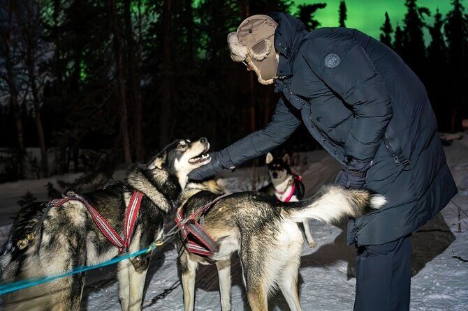Dog Sledding and Northern Lights Combo Night - The Value of the Price