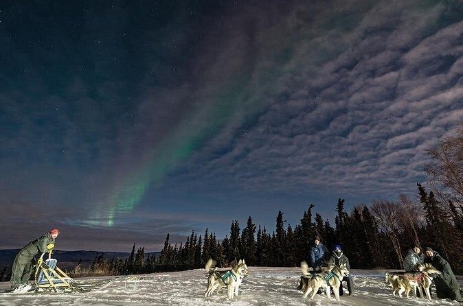 Dog Sledding and Northern Lights Combo Night - The Sum Up