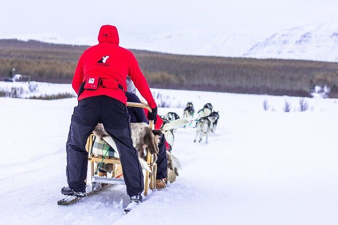 Dog Sledding Tour near Akureyri - Who Will Love This Tour?