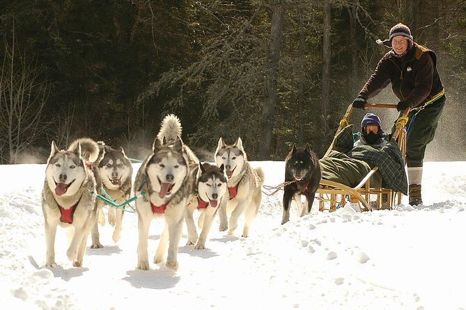 Dogsled Adventure in Mont-Tremblant - Logistics and Practicalities