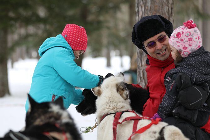 Dogsled Adventure in Mont-Tremblant - Who Is This Tour Best For?