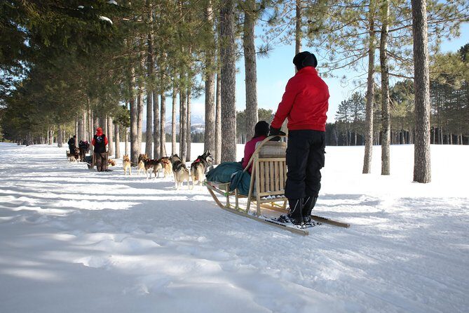 Dogsled Adventure in Mont-Tremblant - Final Thoughts