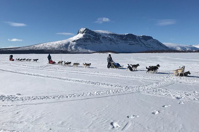Dogsledding in the Heart of Alaska - FAQ