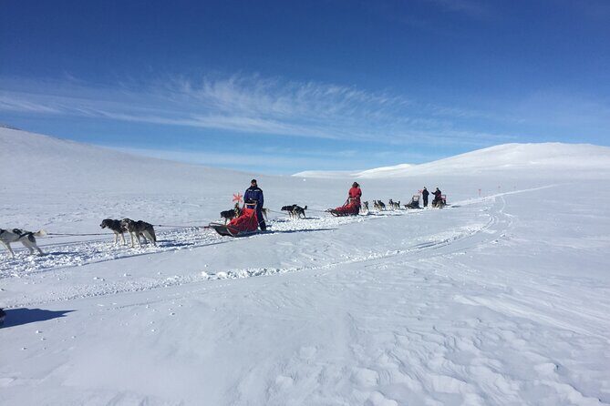 Dogsledding in the Heart of Alaska - Final Thoughts