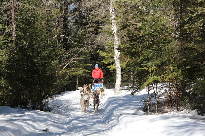 Dogsledding Nordic Adventure in Mont Tremblant - Dogsledding Nordic Adventure in Mont Tremblant: A Complete Guide