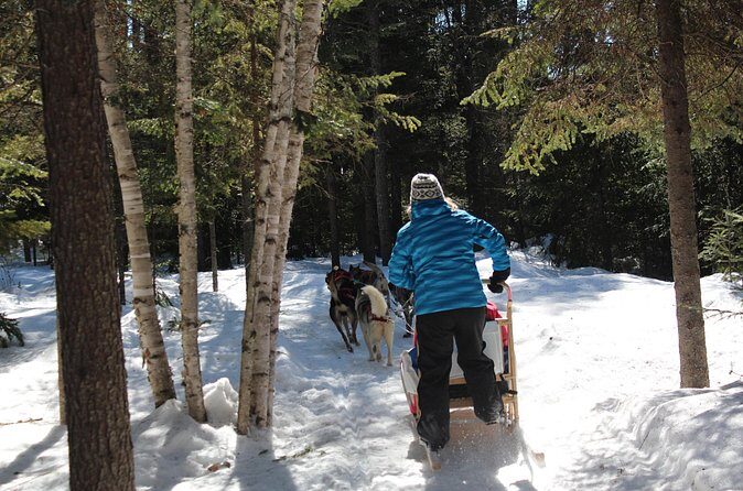 Dogsledding Nordic Adventure in Mont Tremblant - Accessibility and Restrictions