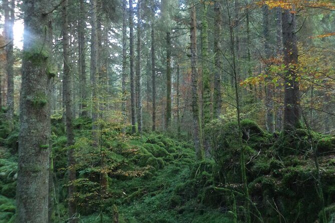 Dolomites Hiking tour - Why This Tour Works Well for You