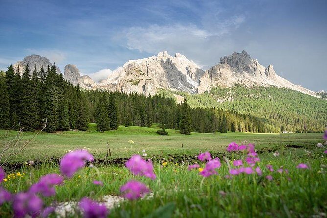 Dolomites Private Tour from Venice - Why Choose This Tour?