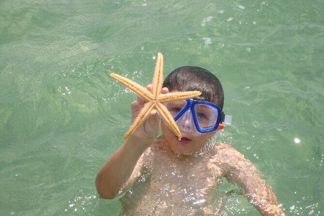 Dolphin and Snorkeling Activity in Panama City Florida - Why This Tour Offers Great Value