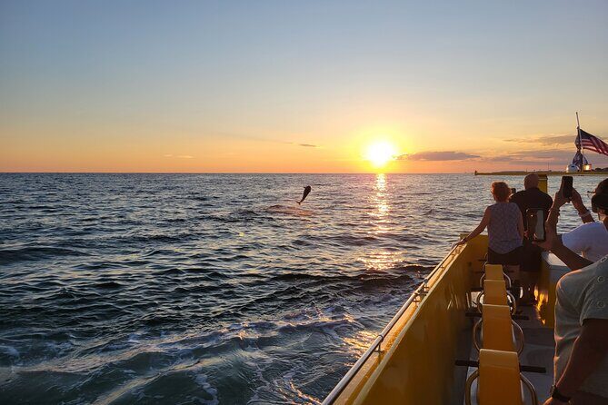 Dolphin and Sunset tour aboard the Hydro Rocket - Key Points