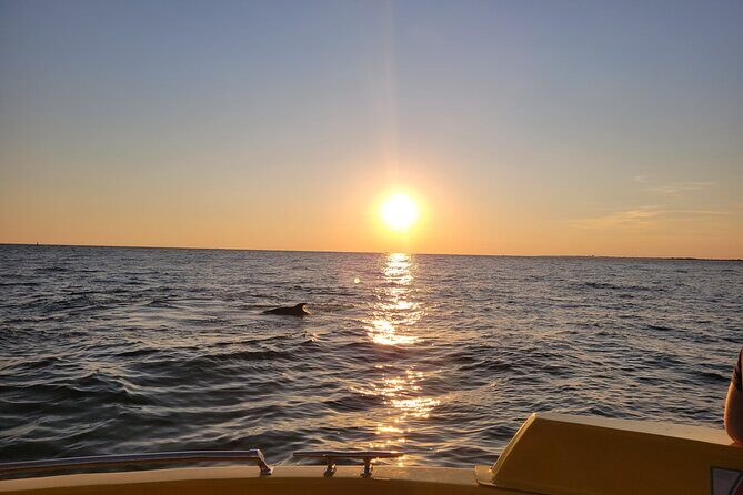Dolphin and Sunset tour aboard the Hydro Rocket - Practical Tips for a Smooth Experience