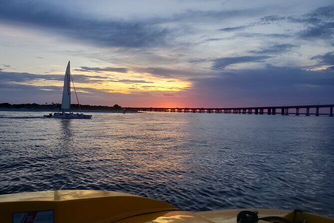 Dolphin and Sunset tour aboard the Hydro Rocket - Who Will Love This Tour?