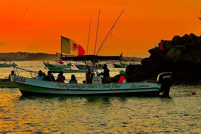 Dolphin and Whale Watching Boat Trip in Puerto Escondido - Who This Tour is Best For