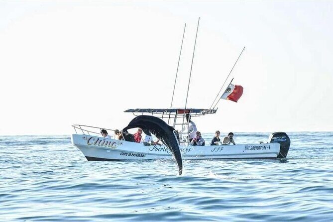 Dolphin and Whale Watching Boat Trip in Puerto Escondido - Frequently Asked Questions
