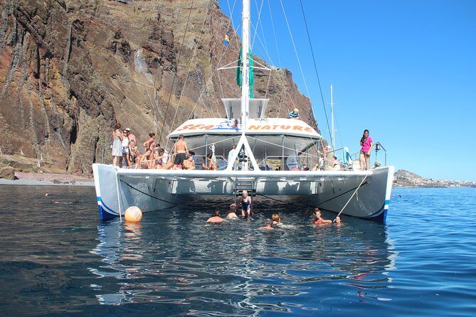 Dolphin and Whale Watching Catamaran Cruise from Funchal - Who Will Love This Experience?