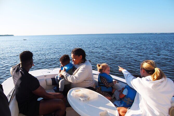 Dolphin cruise in Santa Rosa Beach - Why Choose This Dolphin Cruise?