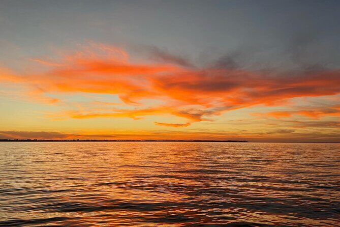 Dolphin cruise in Santa Rosa Beach - Who Is This Experience Best Suited For?
