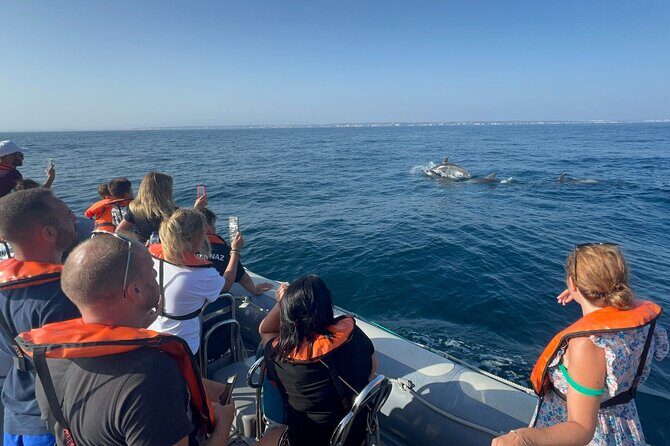Dolphin Expedition Shared Speedboat tour with Biologist guide - An In-Depth Look at the Dolphin Expedition