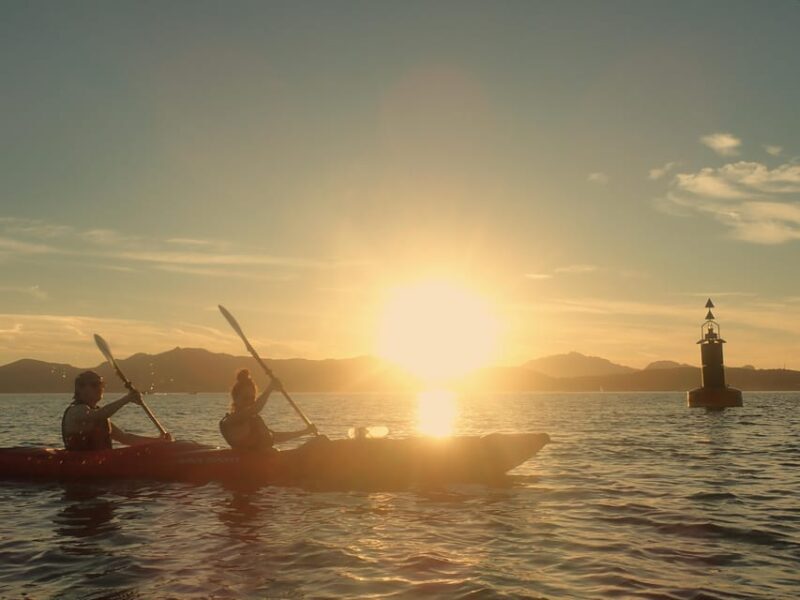 Dolphin Kayak Safari at Sunset at Golfo Aranci - Key Points  
