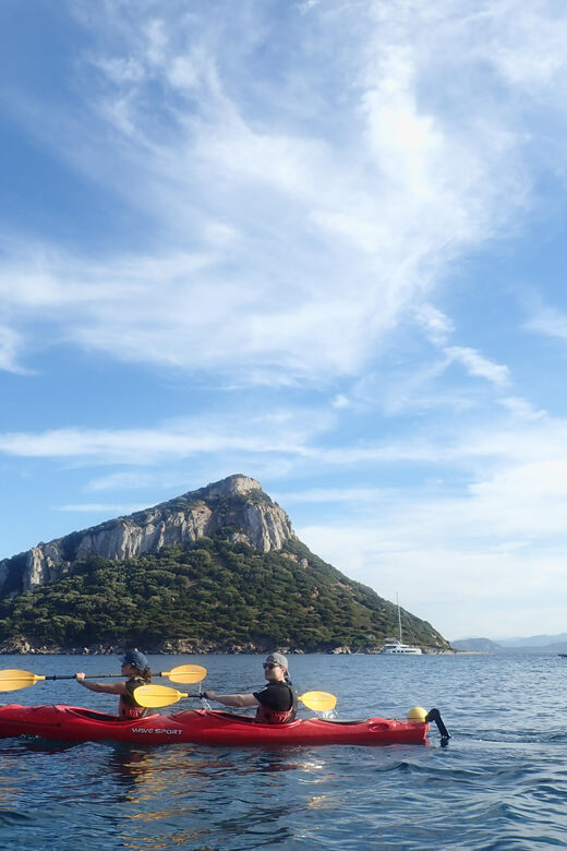 Dolphin Kayak Safari at Sunset at Golfo Aranci - Pricing and Value