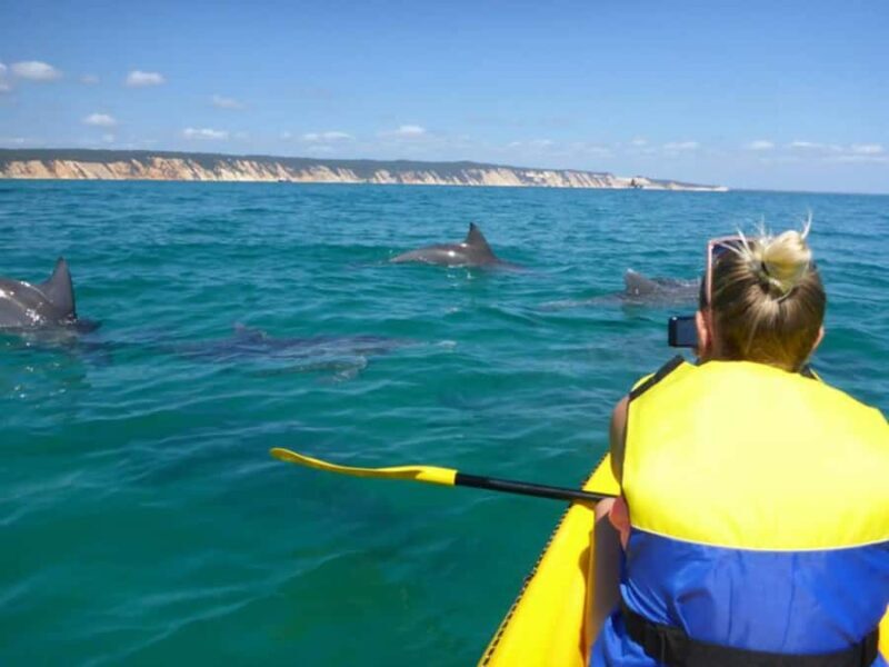 Dolphin Kayak Tour & Beach 4X4 National Park Tour (Private) - The Sum Up