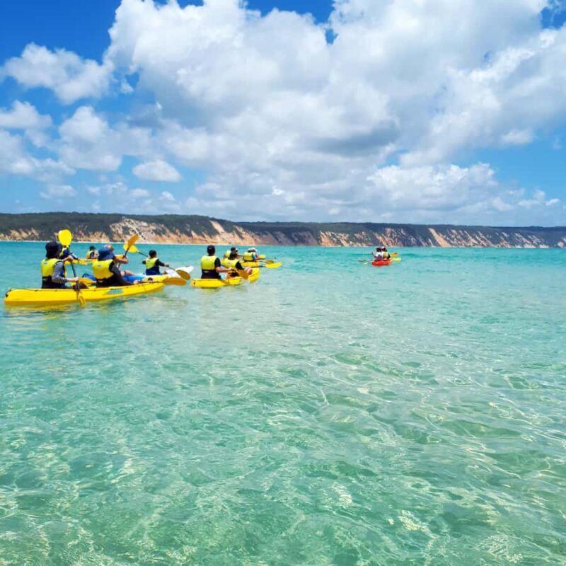 Dolphin Kayak Tour & Beach 4X4 National Park Tour (Private) - FAQ