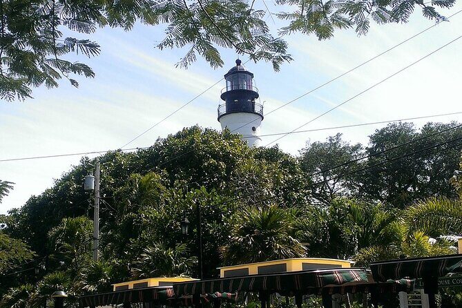 Dolphin Morning Watching & Snorkeling + open bar + 1 day Hop-On Hop-Off Fun - Starting Point and Logistics