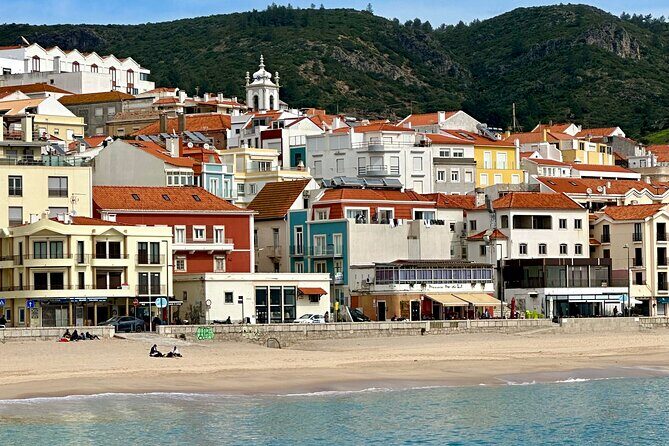 Dolphin Observation Boat Tour from Sesimbra - Final Thoughts