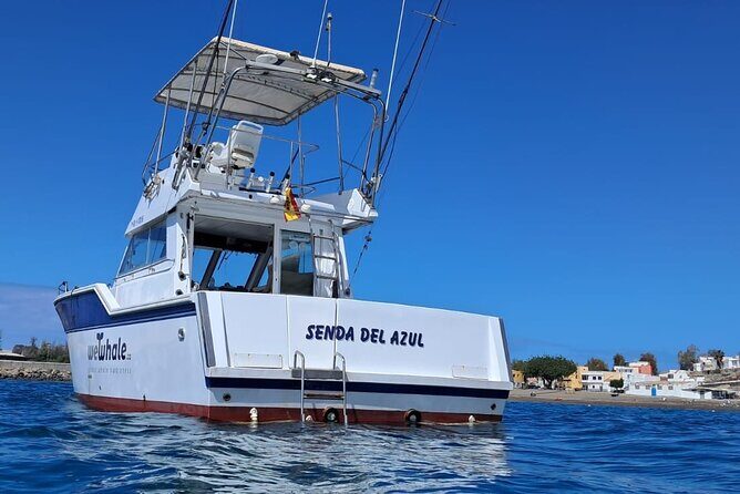 Dolphin Observation In A Small Group On A Silent Hybrid Boat - The Itinerary – A Detailed Look