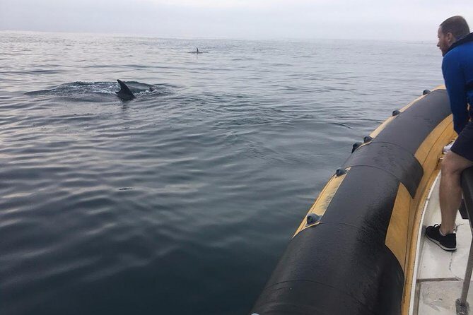 Dolphin Route - What to Expect from the Dolphin Route