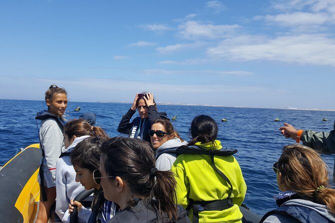 Dolphin Route - The Sum Up: Is It Worth It?