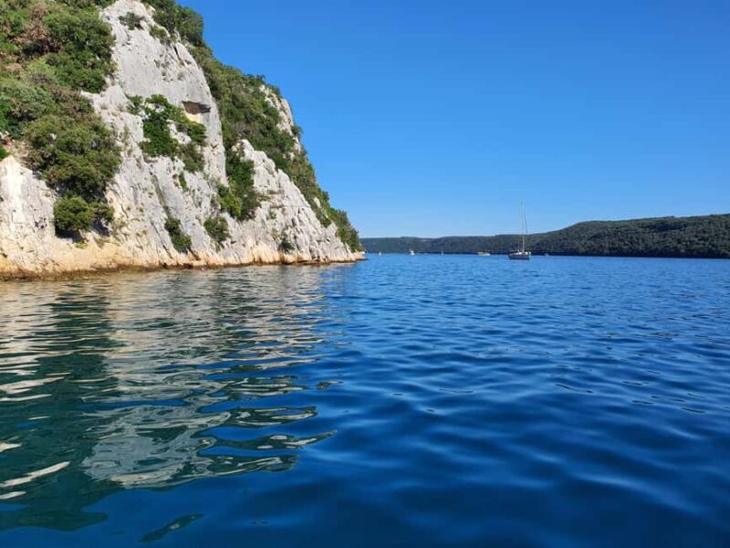 Dolphin safari every morning&evening - Practical Details: Comfort, Cost, and Flexibility