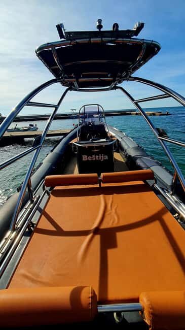 Dolphin safari every morning&evening - Final Thoughts