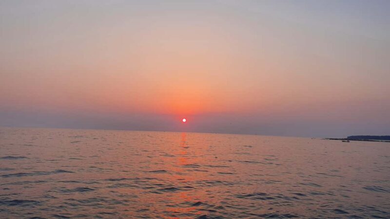 Dolphin safari every morning&evening - FAQ