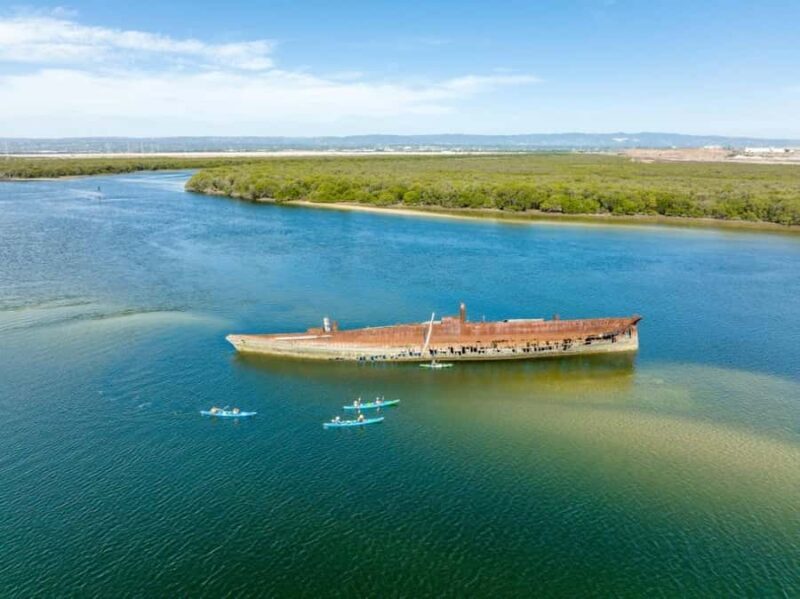 Dolphin Sanctuary and Ships Graveyard Kayak Tour - Authentic Experiences from Other Travelers