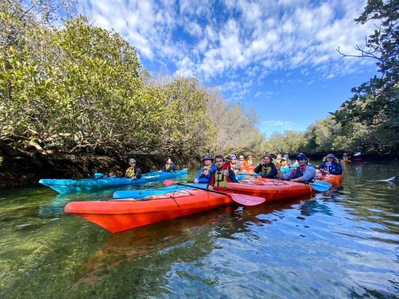 Dolphin Sanctuary and Ships Graveyard Kayak Tour - Final Thoughts: Who Will Love This Tour?