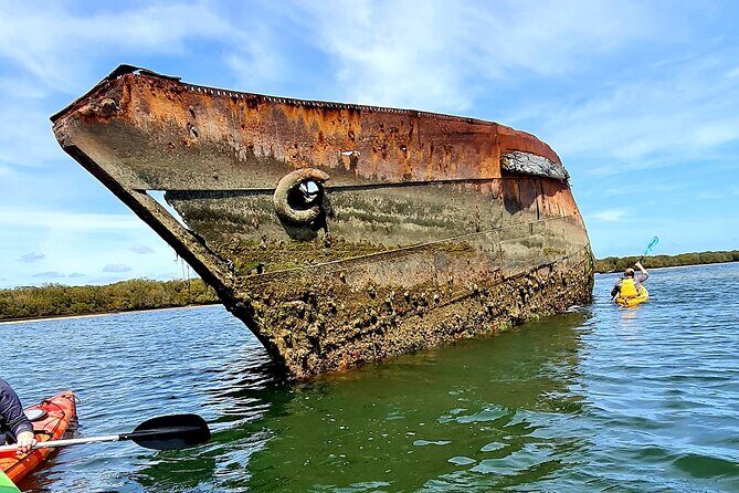 Dolphin Sanctuary Kayak Tour Adelaide - An In-Depth Look at the Experience