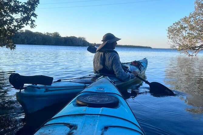 Dolphin Sanctuary Kayak Tours Twilight Mangrove Kayak - Practical Details and Considerations