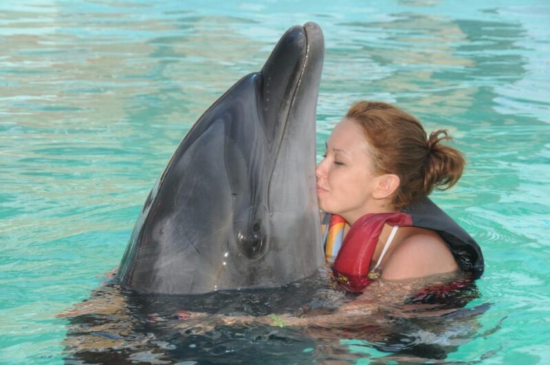 Dolphin Show Free Transfer From Alanya, Side, Kemer,Antalya - Who Should Consider This Tour?
