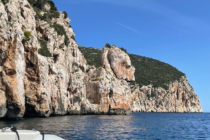 Dolphin spotting in the Gulf of Olbia - Who Is This Tour Best For?