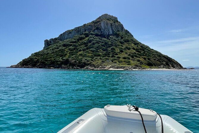 Dolphin spotting in the Gulf of Olbia - Final Thoughts