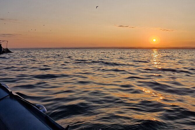 Dolphin Sunrise Adventure with Speedboat - The Sunrise: A Moment of Quiet Beauty
