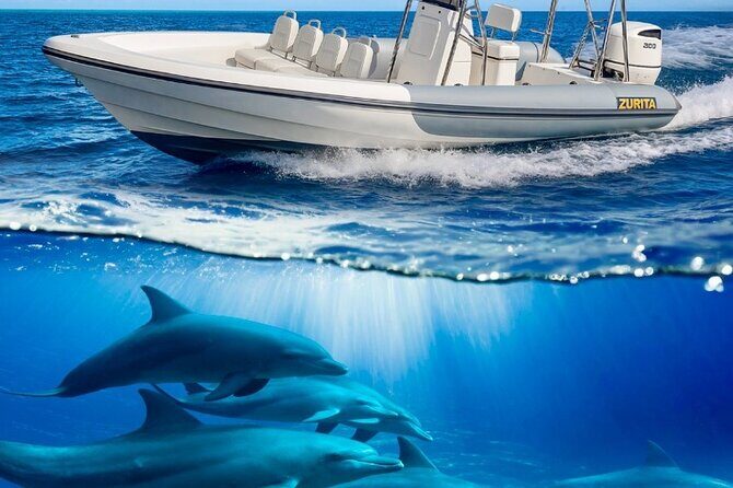 Dolphin Tours in Fuerteventura and snorkeling on the coast - A Deep Dive into the Experience  