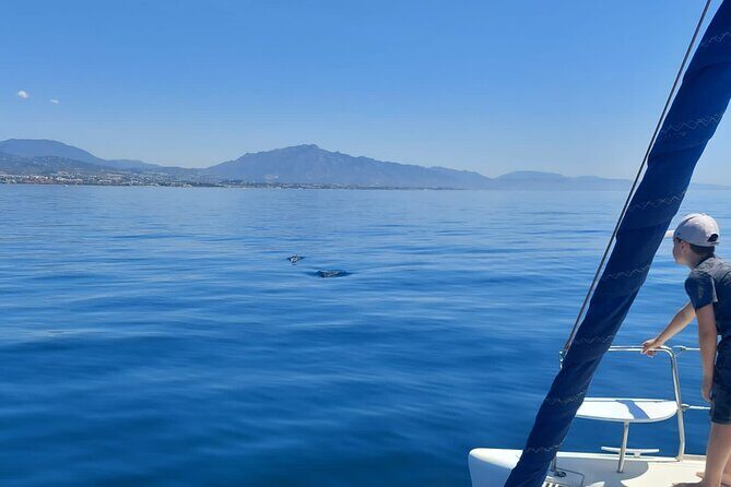 Dolphin trips on a catamaran - An In-Depth Look at the Catamaran Dolphin Tour