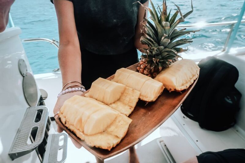 Dolphin Watch Snorkel and BBQ in Kona, Big Island - What the Tour Offers and Why It Matters