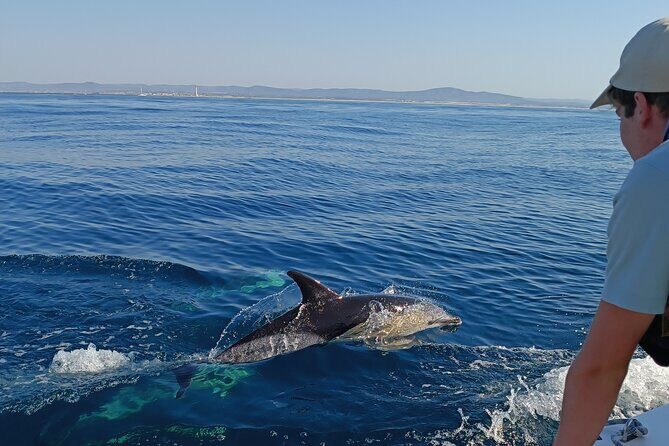 Dolphin Watching + 2 Islands Tour - From Faro - Introduction
