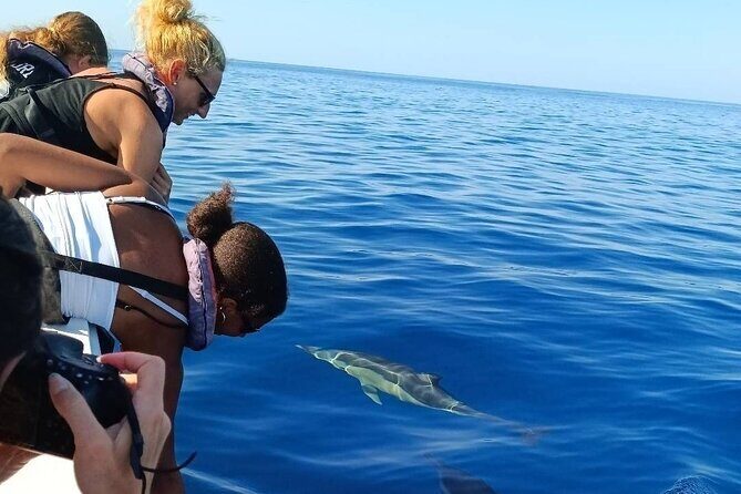 Dolphin Watching + 2 Islands Tour - From Faro - Potential Drawbacks and Considerations