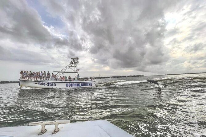 Dolphin Watching aboard the Cold Mil Fleet - Key Points  