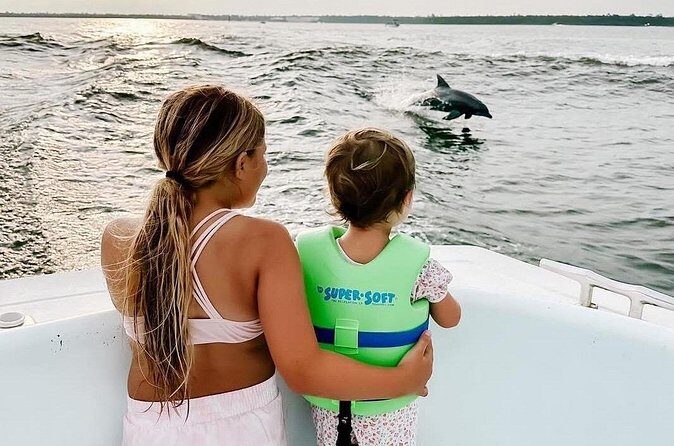 Dolphin Watching aboard the Cold Mil Fleet - Accessibility and Practical Tips